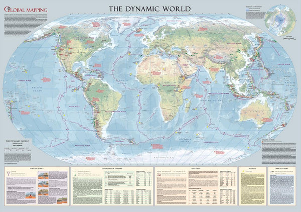 Dynamic World Map – Globe Shop